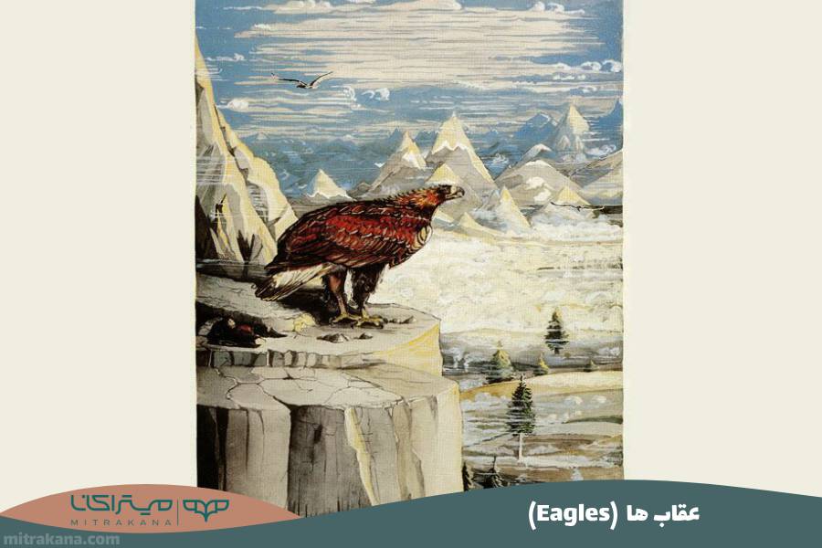 نژاد عقاب‌ ها در ارباب حلقه ها